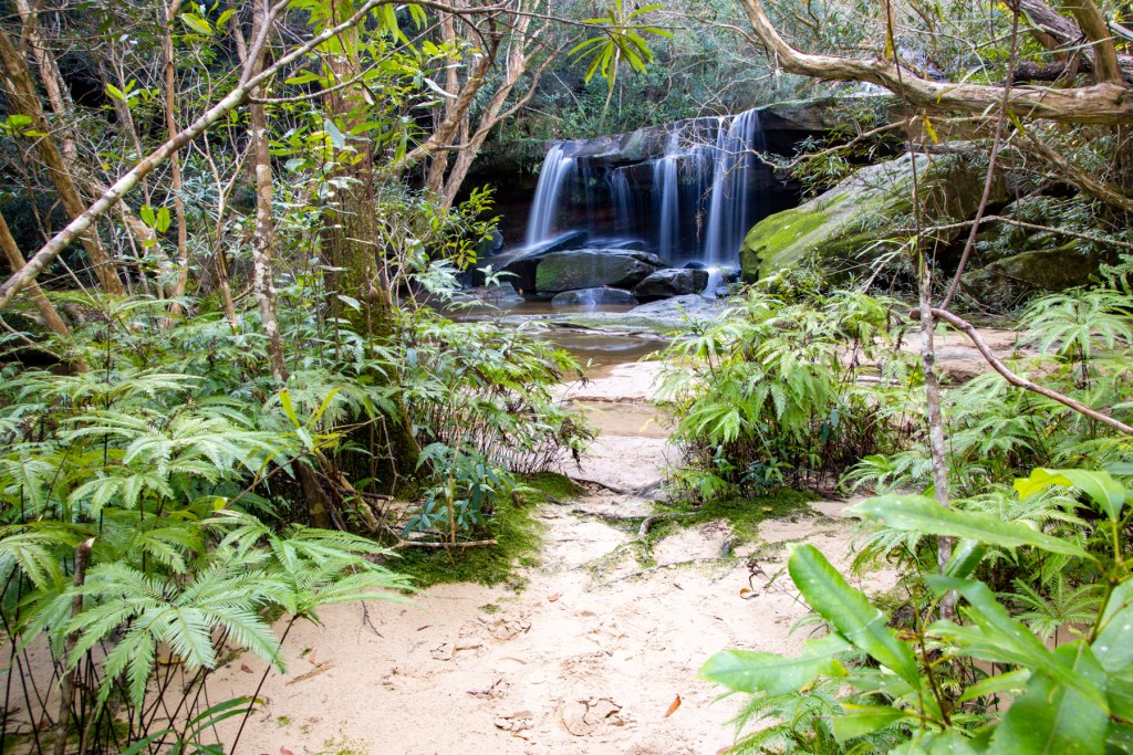 Somersby Falls - a spectacular waterfall on the Central Coast | Hiking ...