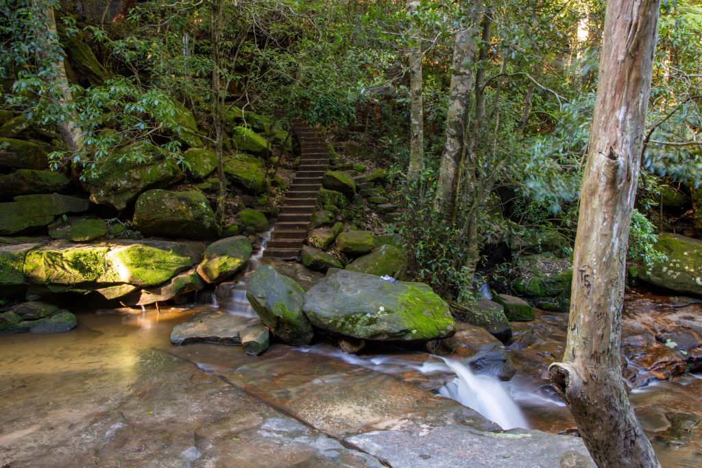 Somersby Falls - a spectacular waterfall on the Central Coast | Hiking ...