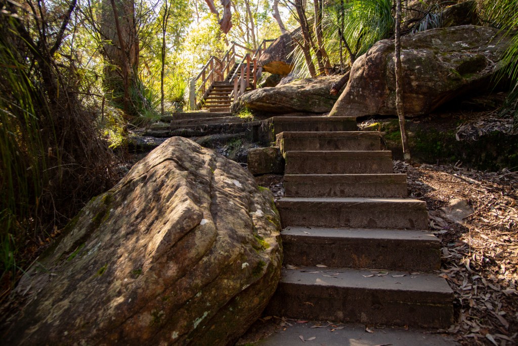 Somersby Falls - a spectacular waterfall on the Central Coast | Hiking ...