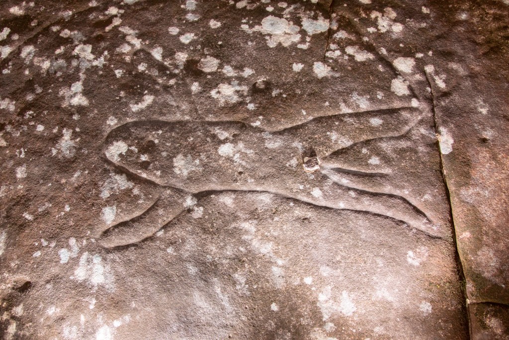 Warrah Sanctuary engravings | Hiking the World