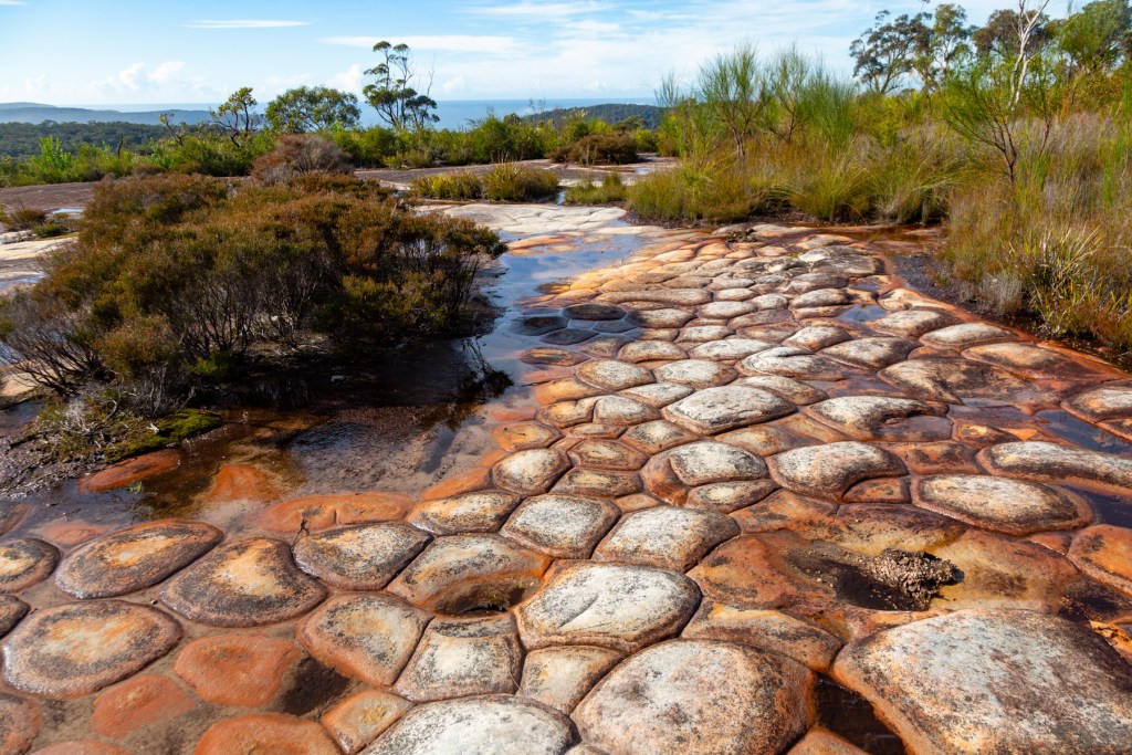Stunning views from the short Warrah Lookout bushwalk | Hiking the World