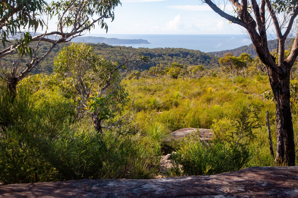 Stunning views from the short Warrah Lookout bushwalk | Hiking the World