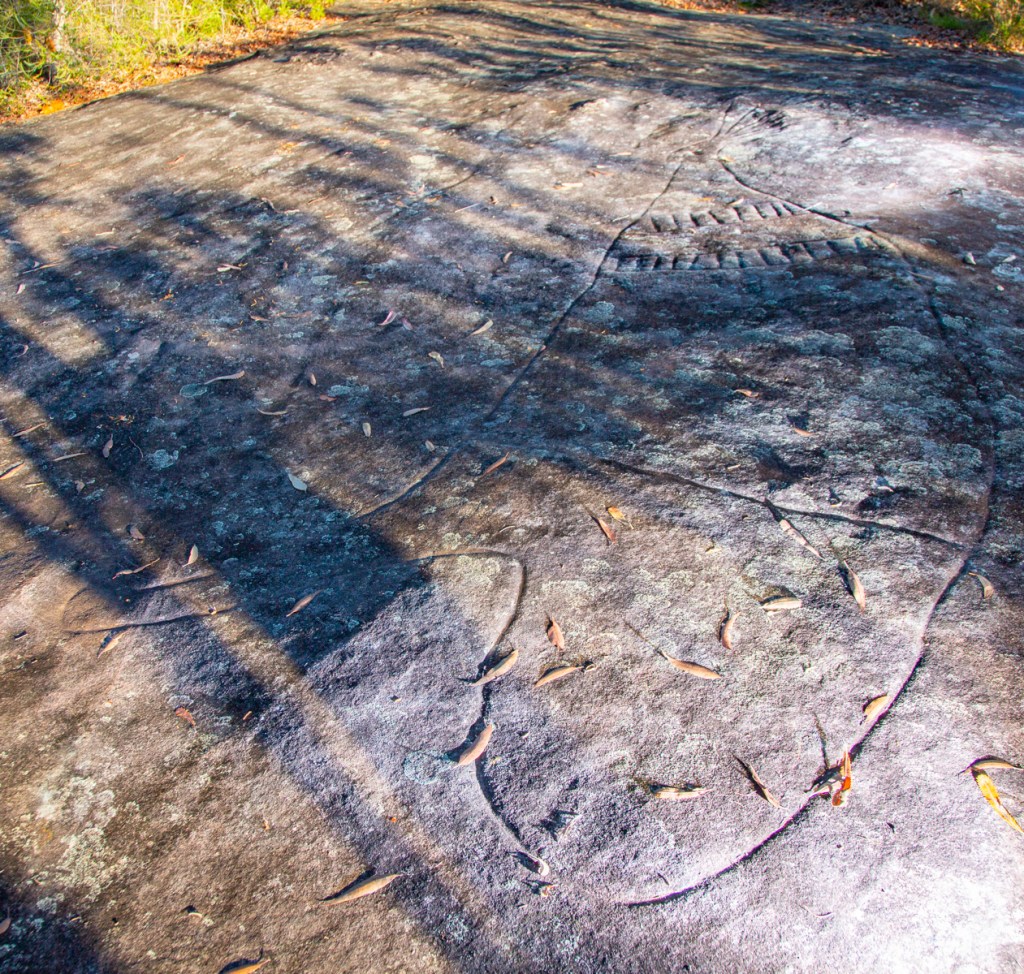Dog Trap Gully Engraving Site | Hiking the World