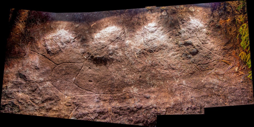 Waratah Track Fishing Scene | Hiking the World