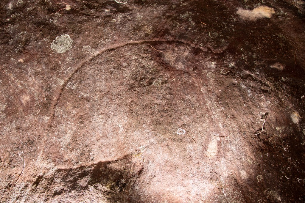 Warrah Sanctuary engravings | Hiking the World