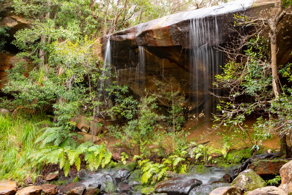 Pearl Beach Waterfall - a secluded waterfall on the Central Coast ...