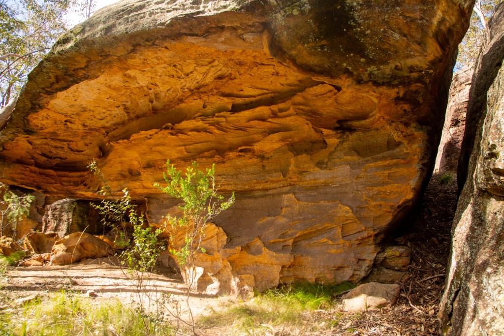 Back Creek Shelter with Art | Hiking the World
