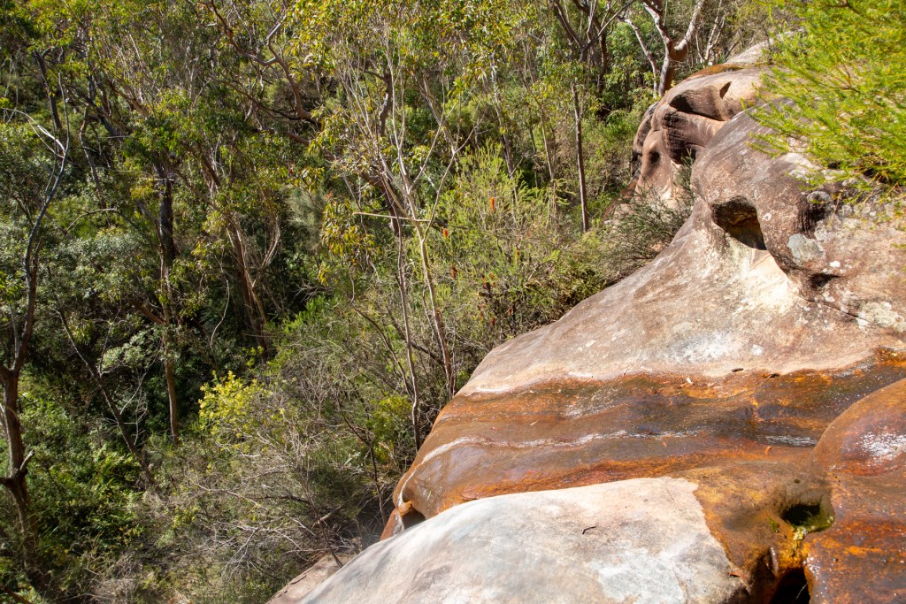 An easy loop bushwalk along the Muogamarra Bird Gully Walk | Hiking the ...