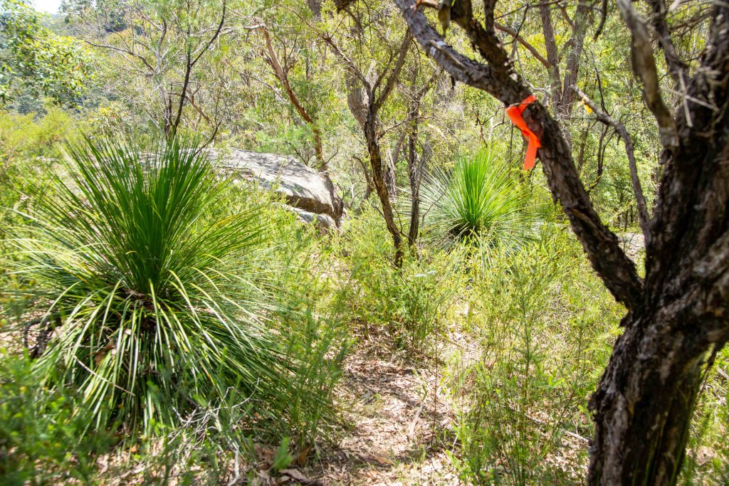 Following a rough trail to the Mega Cave on the Central Coast | Hiking ...