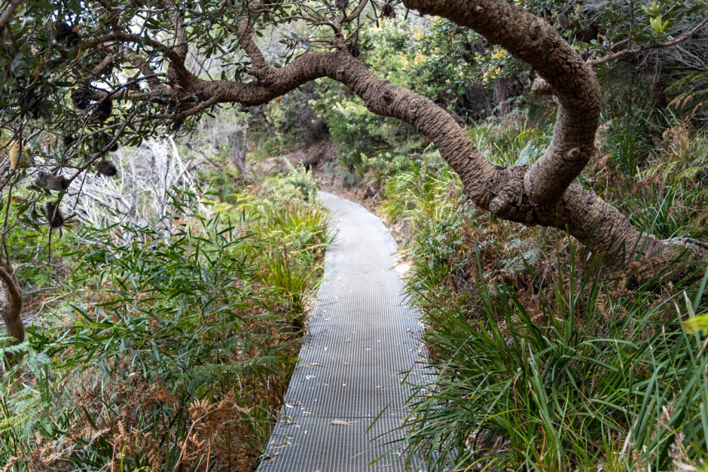 Curracurrang Falls - a hidden waterfall and swimming hole | Hiking the ...
