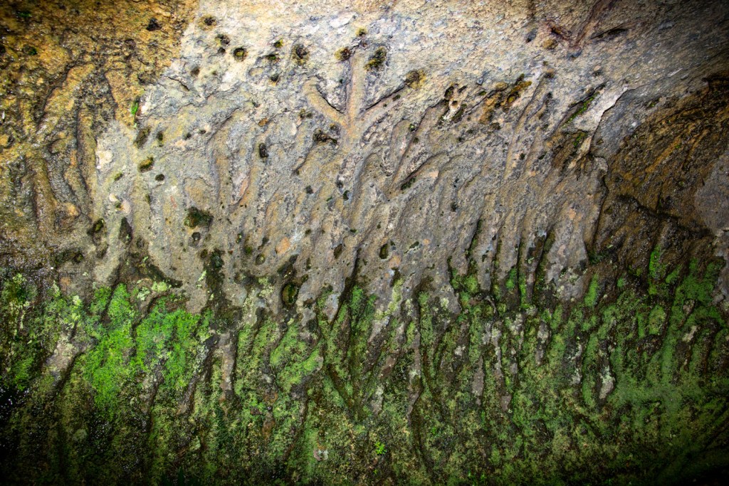 Emu Cave or Convicts Cave emu prints | Hiking the World