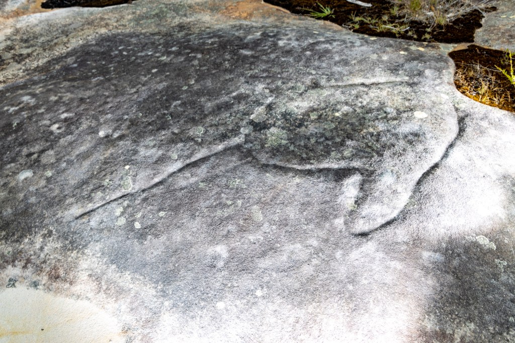 Jibbon Head Engravings | Hiking the World
