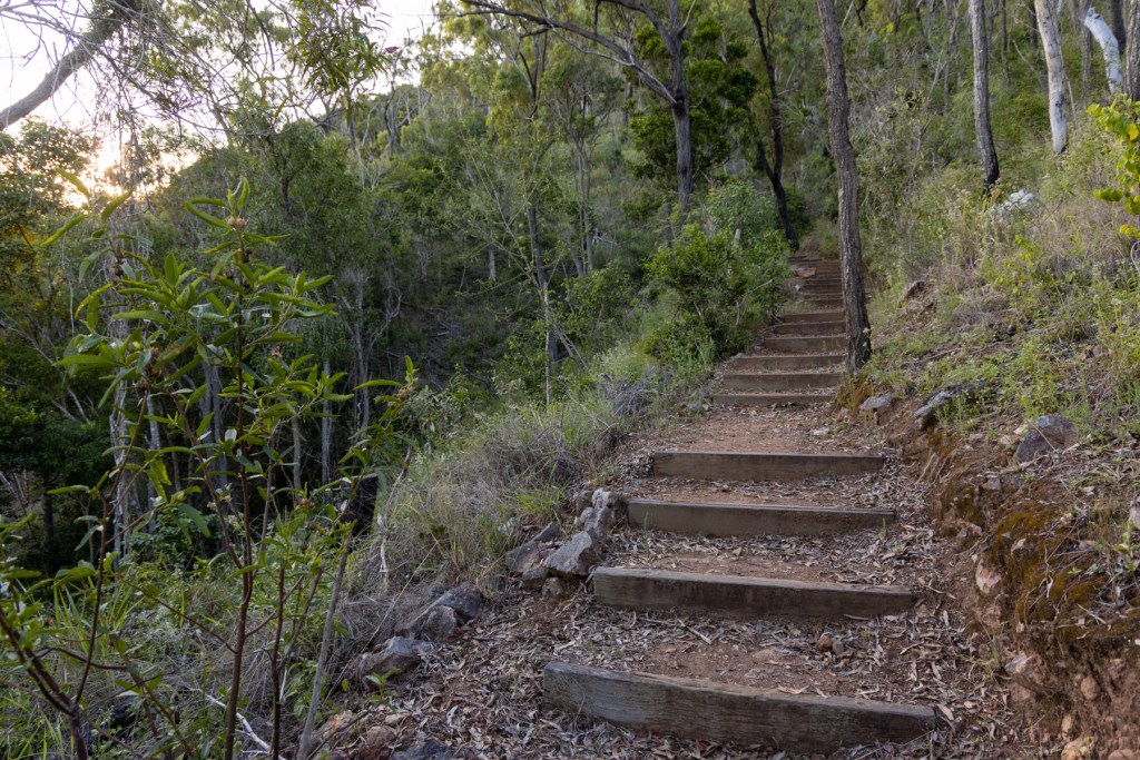 A cauldron of bats at the Mount Etna Caves Bat Cleft | Hiking the World
