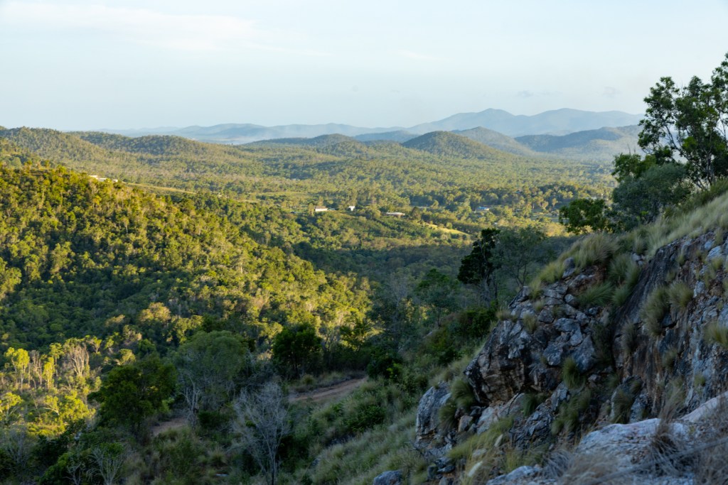A cauldron of bats at the Mount Etna Caves Bat Cleft | Hiking the World
