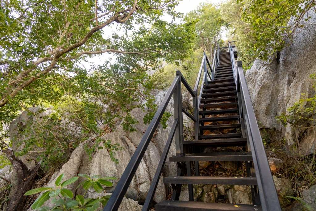 A cauldron of bats at the Mount Etna Caves Bat Cleft | Hiking the World