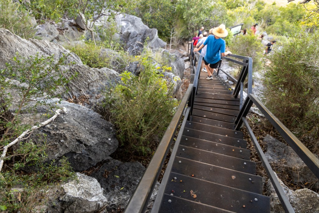 A cauldron of bats at the Mount Etna Caves Bat Cleft | Hiking the World