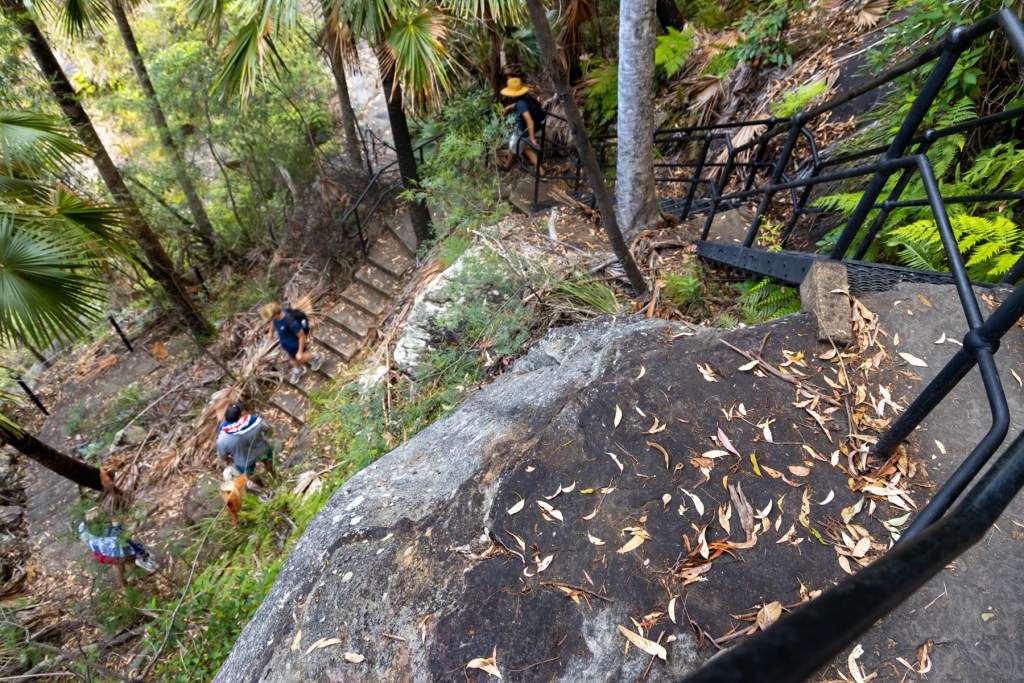 Rainbow Falls (Gudda Gumoo) - a tranquil and deep waterhole | Hiking ...