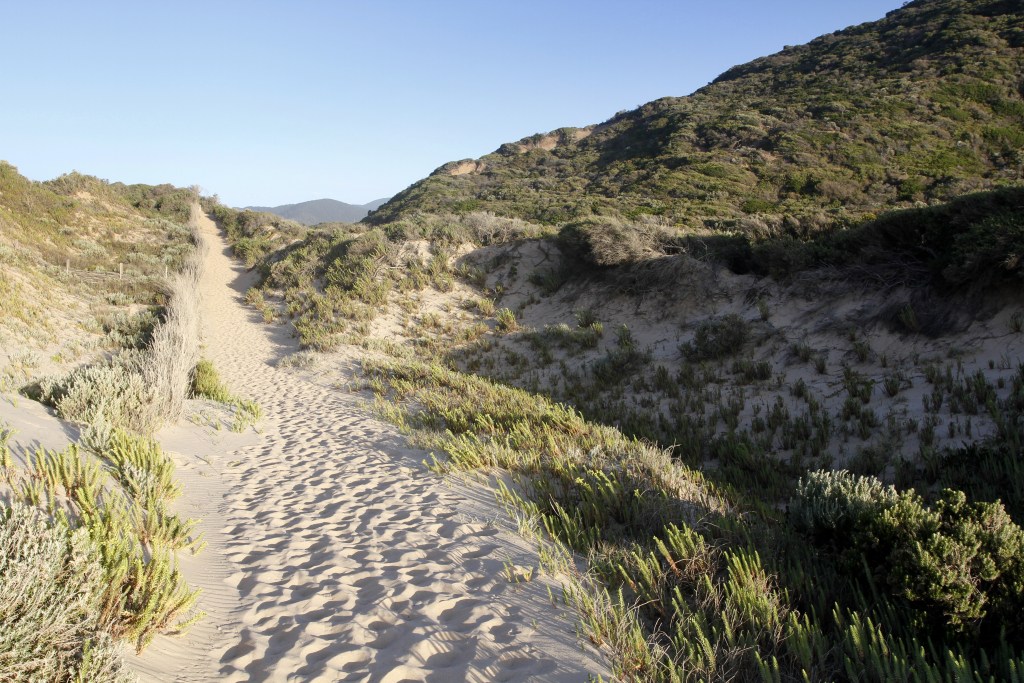 Darby Beach - a wild Wilsons Promontory beach | Hiking the World
