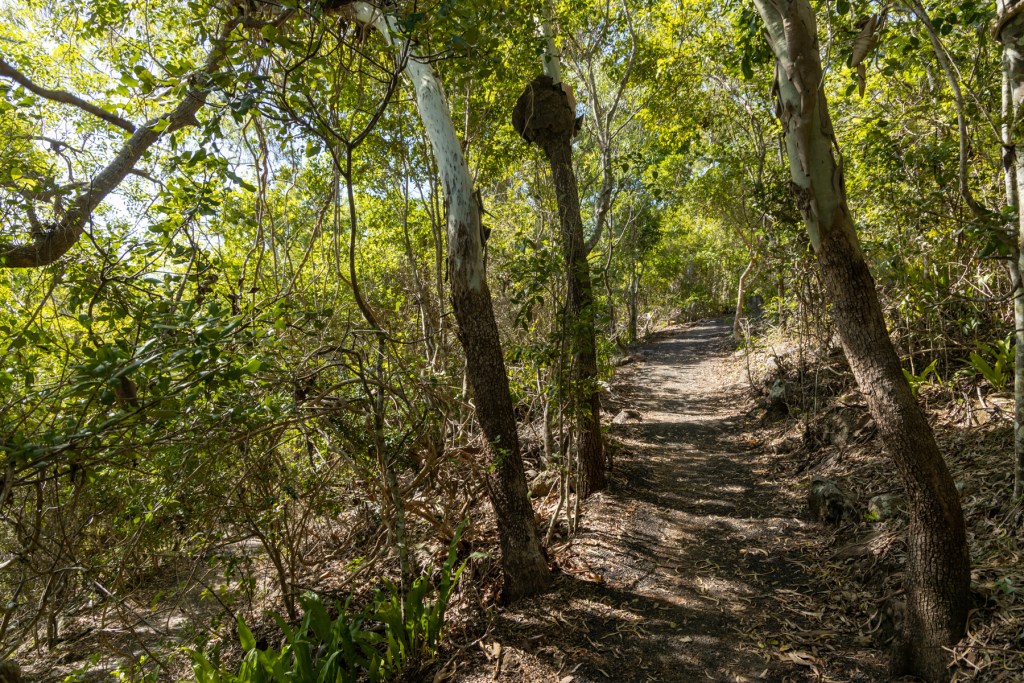 The scenic Bluff Point circuit walk on the Capricorn Coast | Hiking the ...