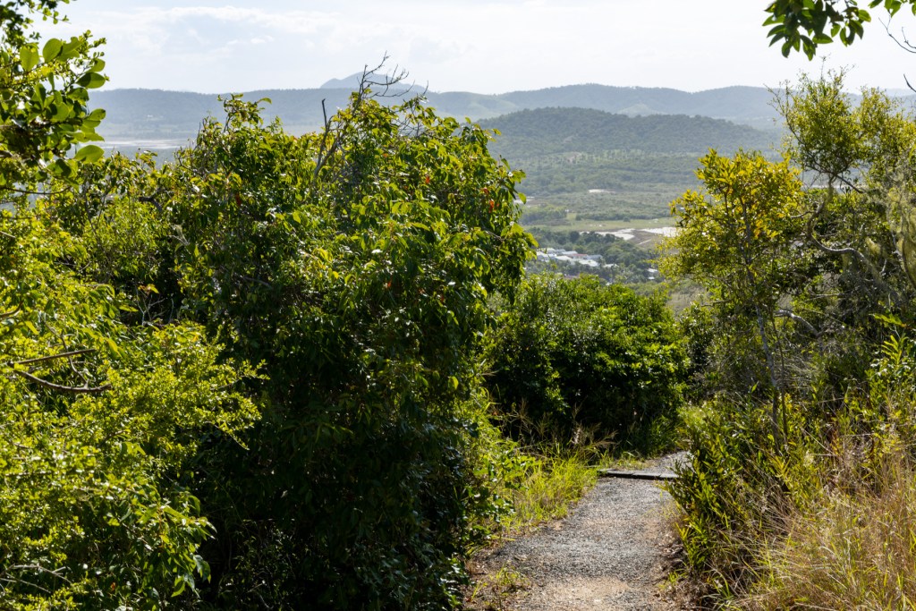 The scenic Bluff Point circuit walk on the Capricorn Coast | Hiking the ...