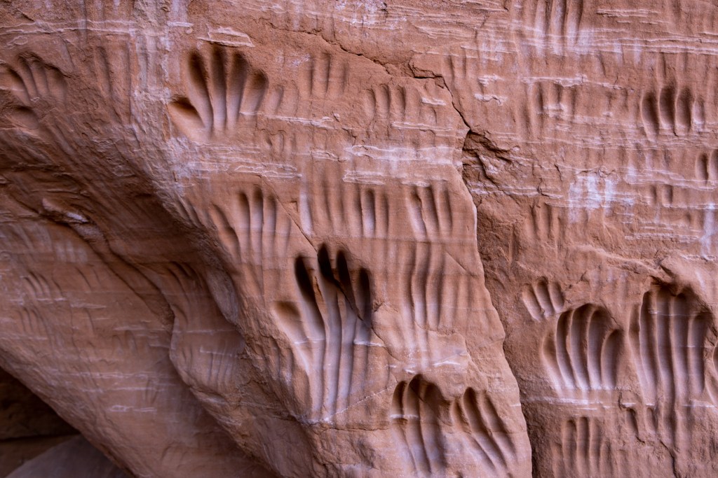 Indian Cave Hand Petroglyphs in Kodachrome Basin State Park | Hiking ...