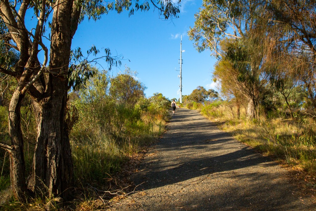 Sweeping views from the popular Mount Taylor Walk | Hiking the World