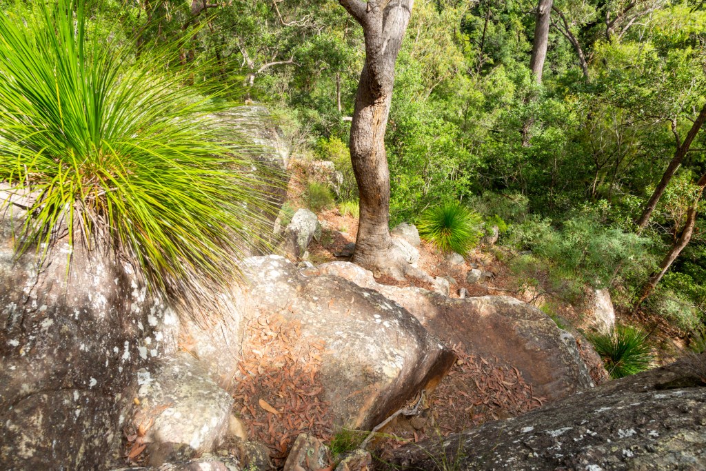 Pisgah Rock Swimming Hole on Erskine Creek - a secluded Blue Mountains ...
