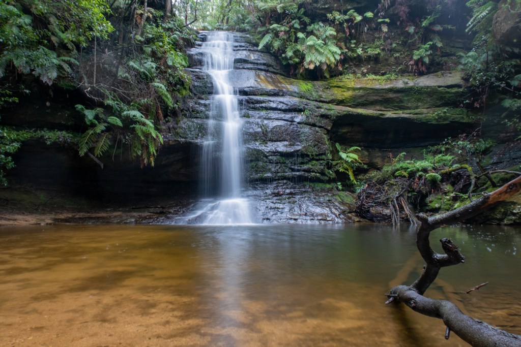 Pool of Siloam - a beautiful waterfall and waterhole in Leura | Hiking ...