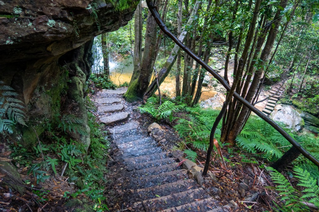 Pool of Siloam - a beautiful waterfall and waterhole in Leura | Hiking ...