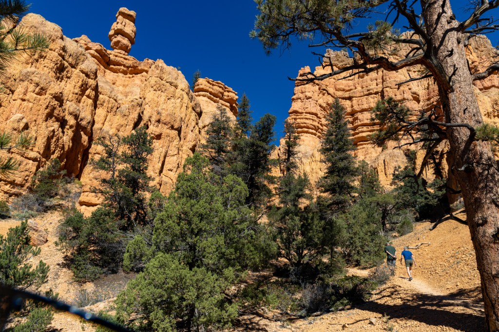 Hoodoos on the Pink Ledges Trail in Dixie Forest | Hiking the World
