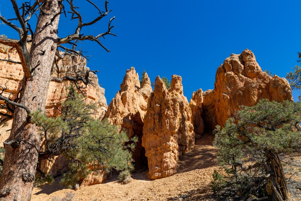 Hoodoos on the Pink Ledges Trail in Dixie Forest | Hiking the World
