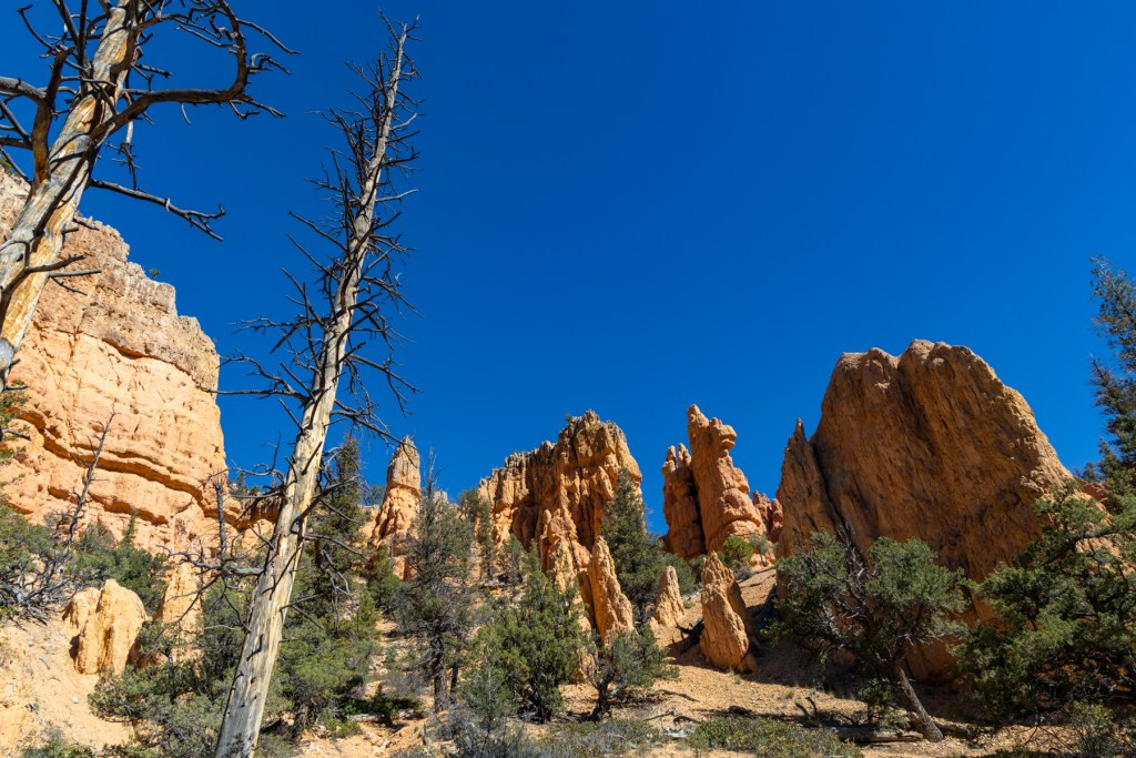 Hoodoos on the Pink Ledges Trail in Dixie Forest | Hiking the World