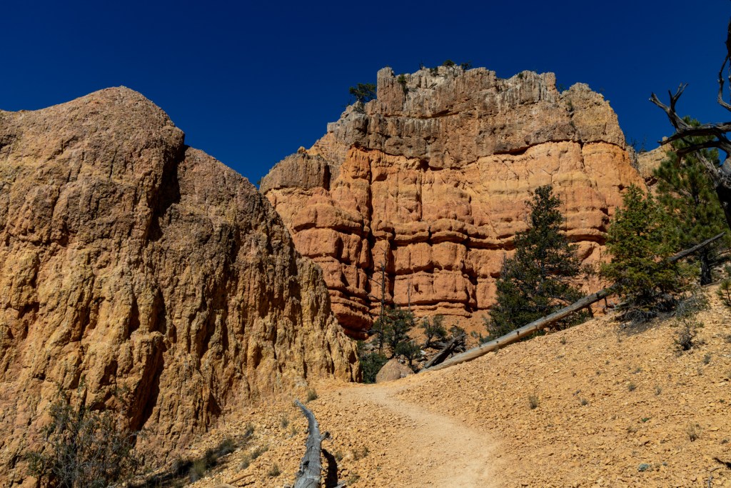 Hoodoos on the Pink Ledges Trail in Dixie Forest | Hiking the World