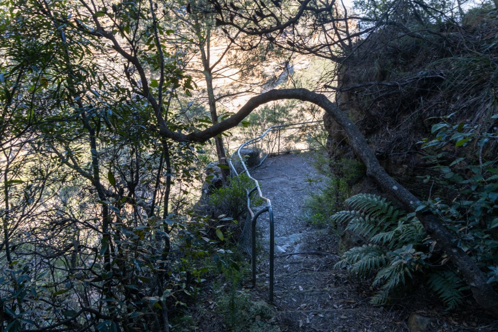 Eagles Nest Lookout - Jamison Valley and Wentworth Falls views | Hiking ...
