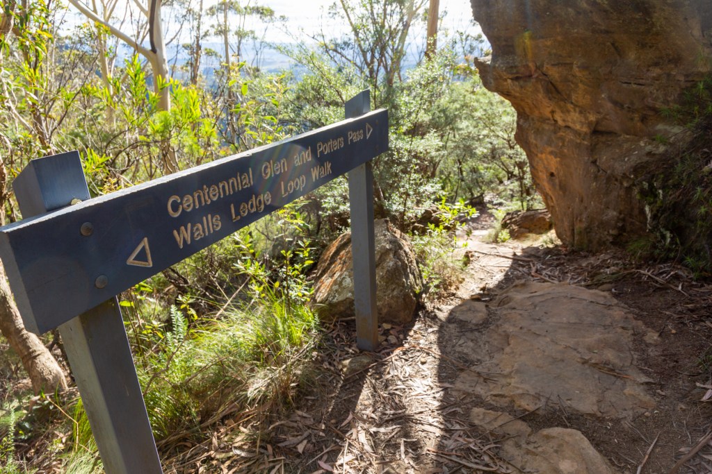 The spectacular Porters Pass and Colliers Causeway loop in Blackheath ...