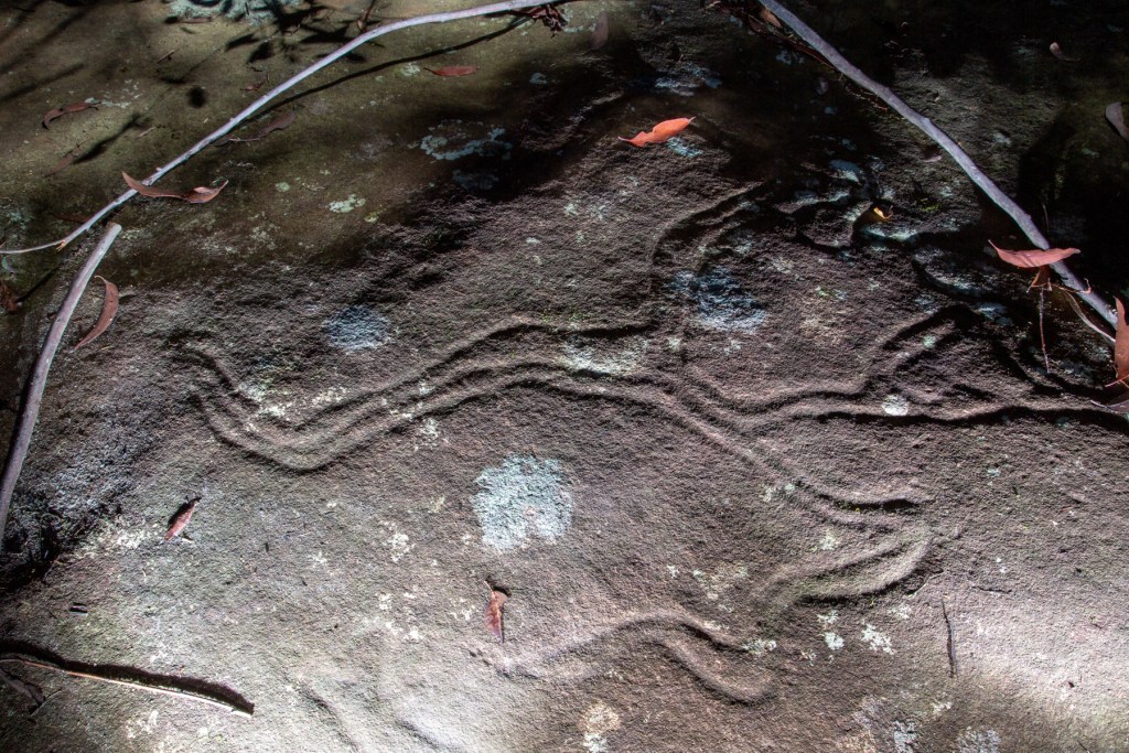Parkers Gully Aboriginal engraving site | Hiking the World
