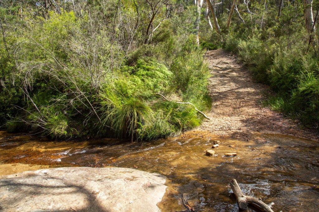 Stunning waterfalls and swimming holes of the Terrace Falls Reserve ...