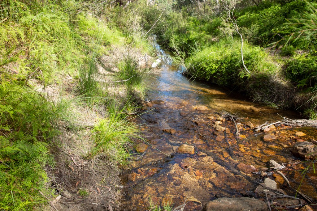 Stunning waterfalls and swimming holes of the Terrace Falls Reserve ...