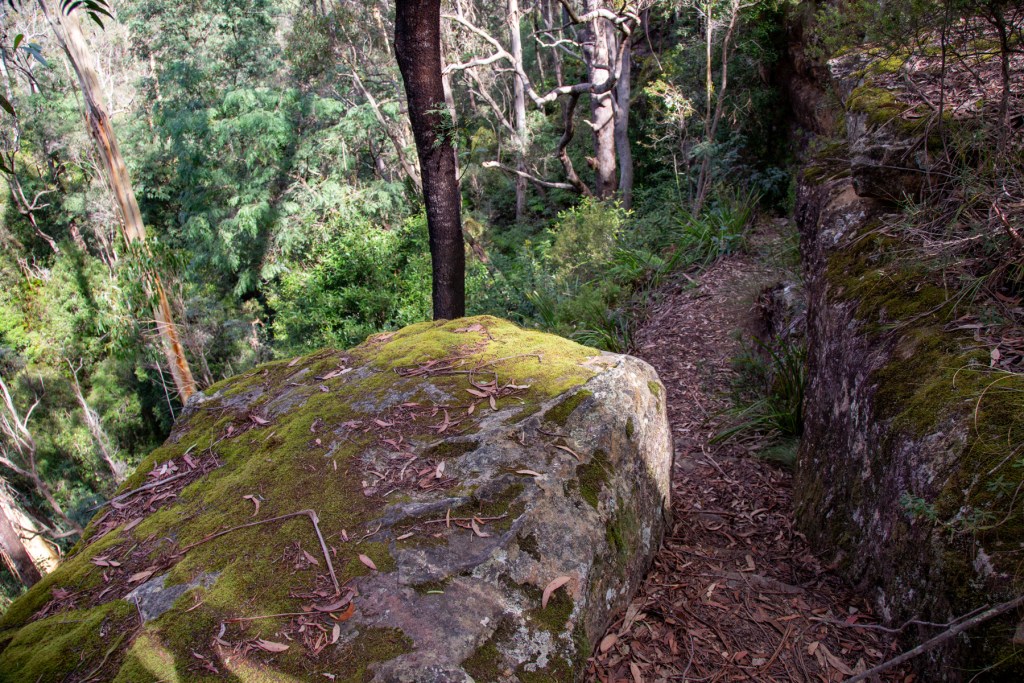 Stunning waterfalls and swimming holes of the Terrace Falls Reserve ...