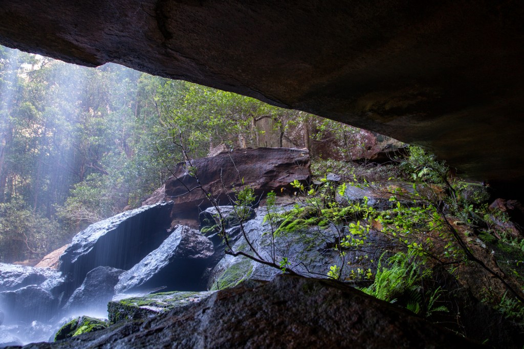 Bonnie Doon Falls (Ethel Falls) - a waterfall in Nellies Glen | Hiking ...