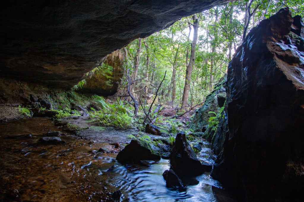 Bonnie Doon Falls (Ethel Falls) - a waterfall in Nellies Glen | Hiking ...