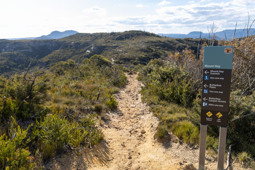 Butterbox Point - an easy walk to multiple spectacular lookouts ...