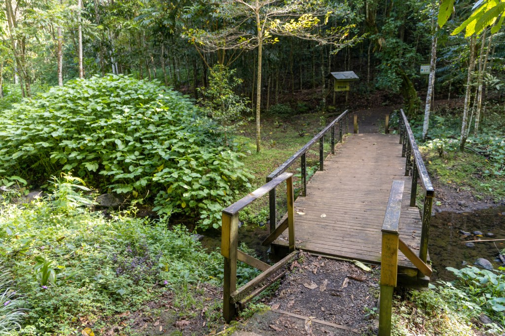 A steep climb up Mt Vaea to the tomb of Robert Louis Stevenson | Hiking ...