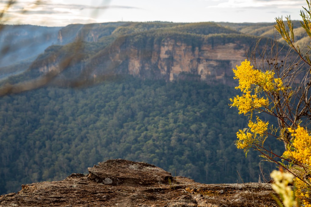 Spectacular Blue Mountains views from the Lions Head Trail | Hiking the ...