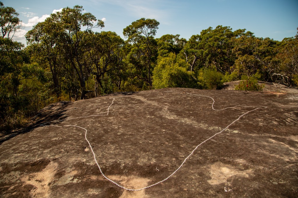 Hardys Bay Whale Aboriginal engravings | Hiking the World