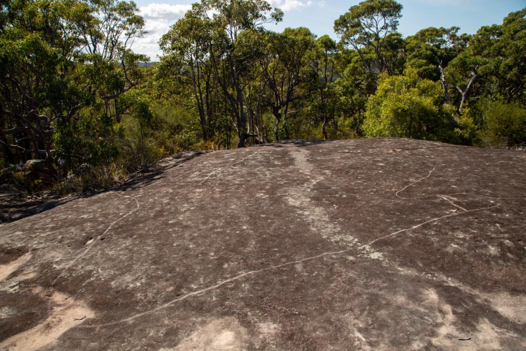 Hardys Bay Whale Aboriginal engravings | Hiking the World