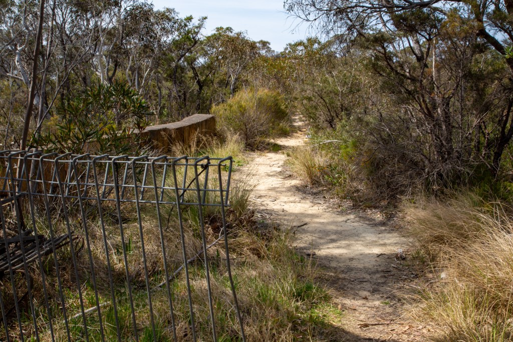 Kings Tableland Aboriginal Place - grinding grooves and rock art ...
