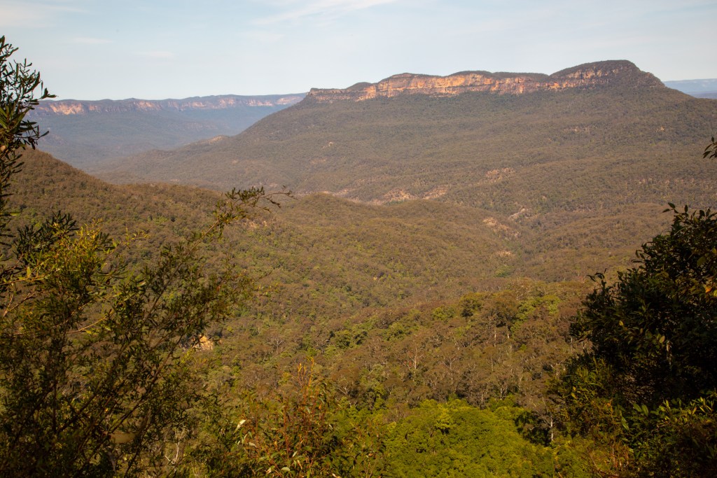 Queen Victoria Lookout along the Furber Steps | Hiking the World