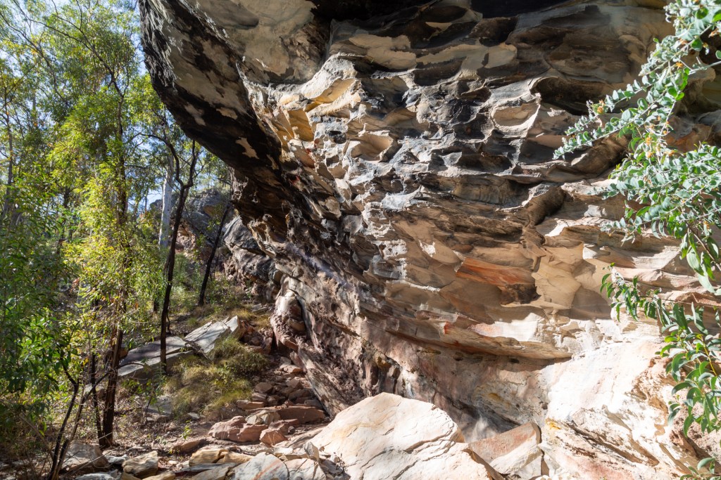 Baloon Cave Aboriginal site in Carnarvon Gorge | Hiking the World