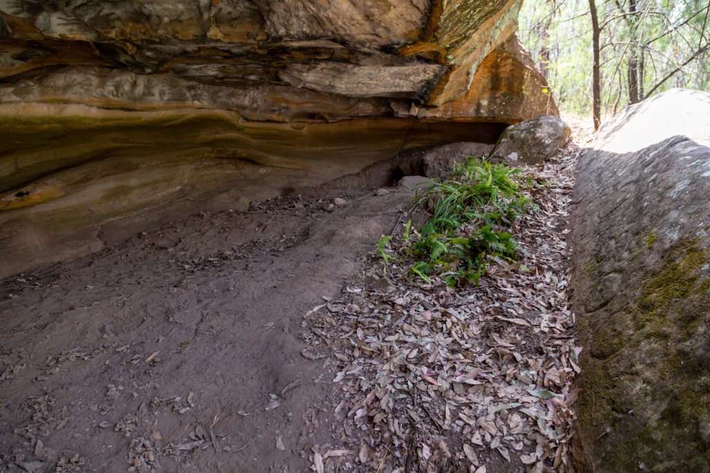 Big Yengo 1 Aboriginal Shelter with Art | Hiking the World